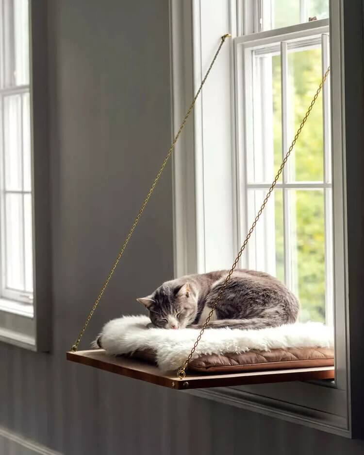 Purr-fect View: 5 DIY Cat Window Perches To Enjoy the Outdoors!