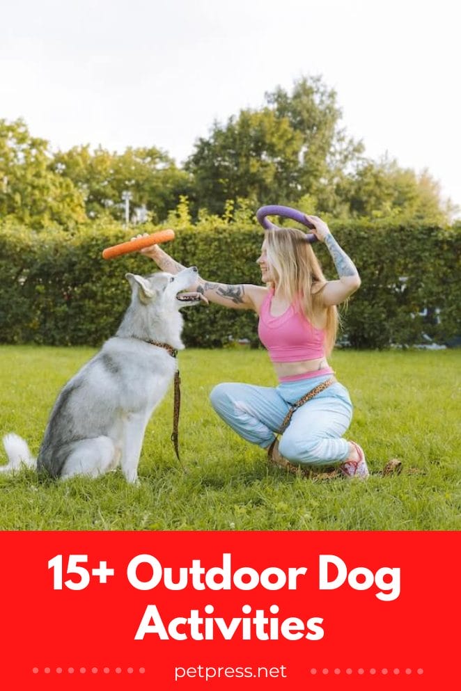 15+ Paw-some Outdoor Activities Your Dog Will Love!
