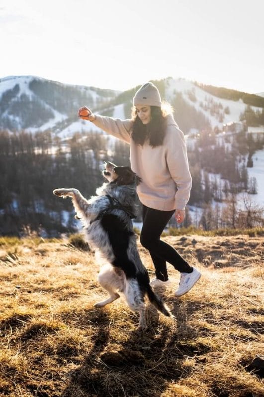 15+ Paw-some Outdoor Activities Your Dog Will Love!