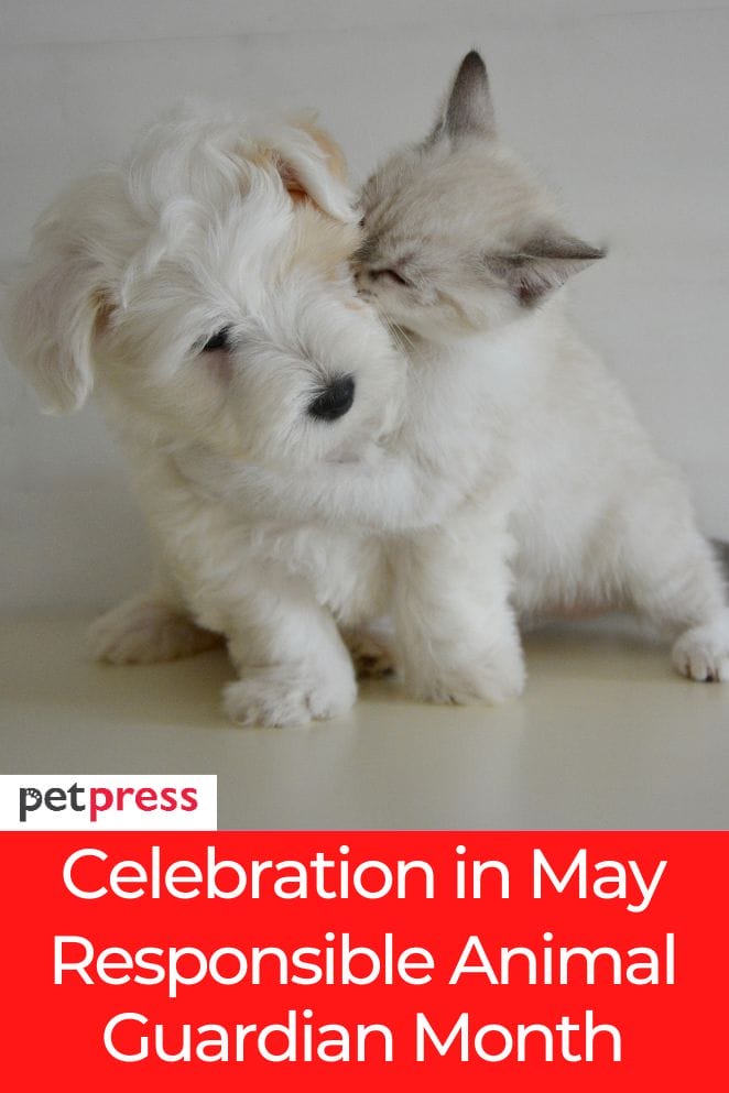 Celebration in May: Responsible Animal Guardian Month