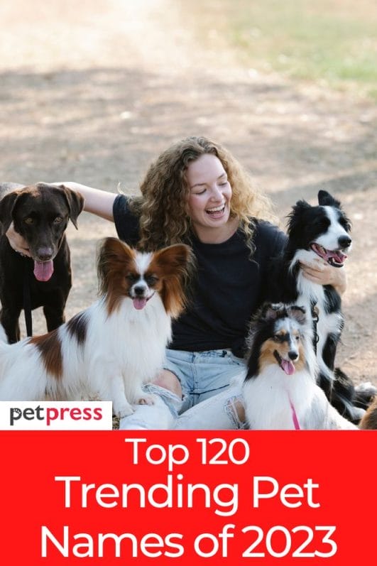 Top 120 Popular Pet Names: Trending pet names of 2023