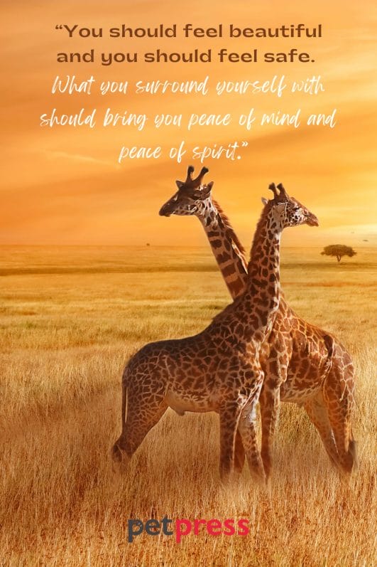 50+ Giraffe Quotes: Embracing Life's Profound Wisdom - PetPress