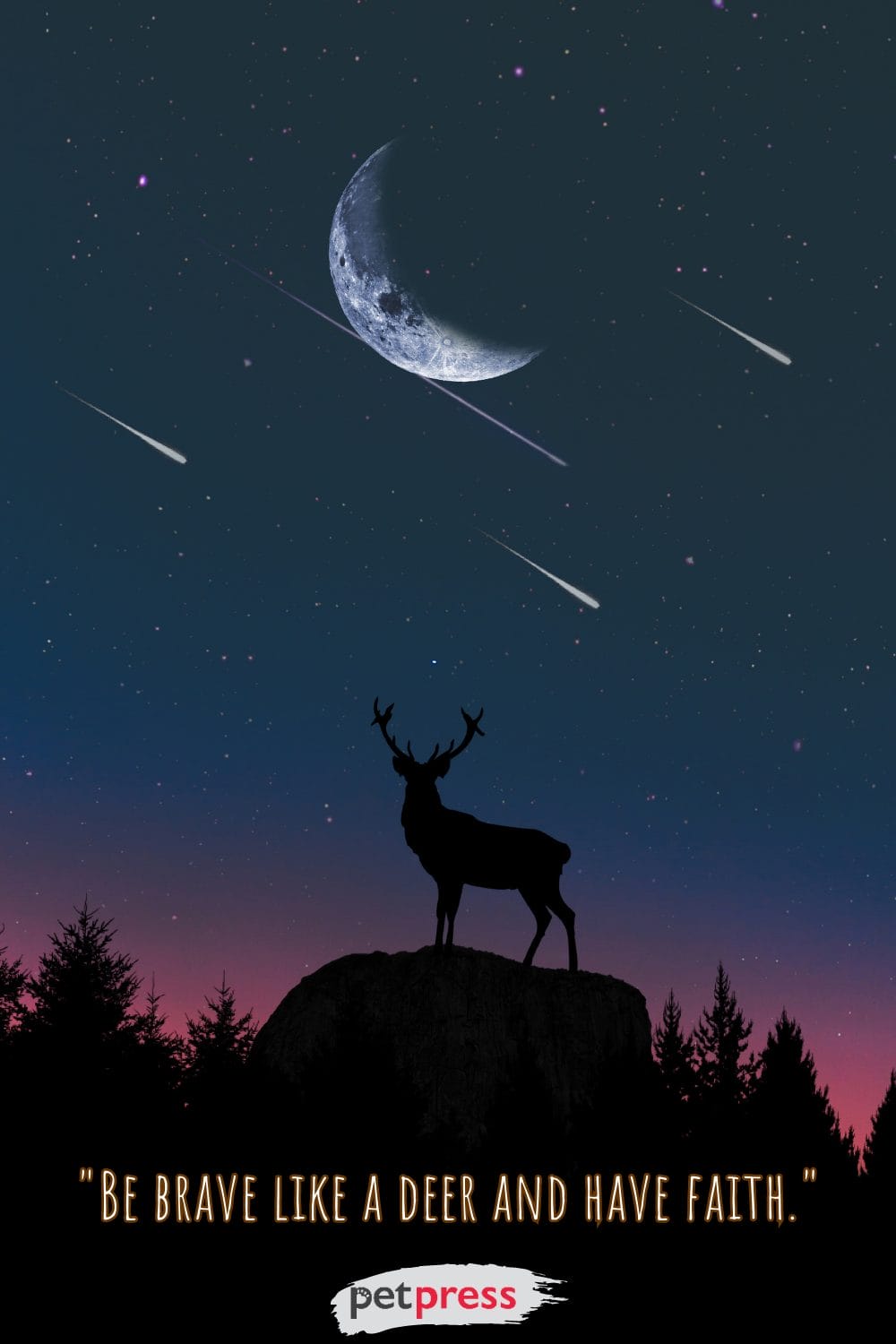 50+ Inspiring Deer Quotes to Ignite Your Inner Courage and Strength ...