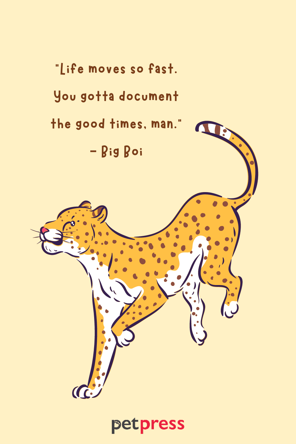 50+ Cheetah Quotes to Boost Your Success and Achievement - PetPress