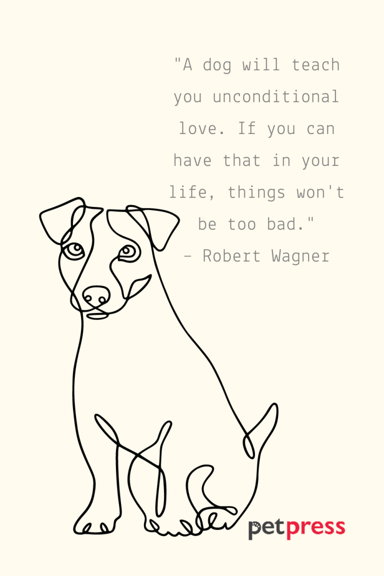50+ Dog Best Friend Quotes that Prove Unconditional Love