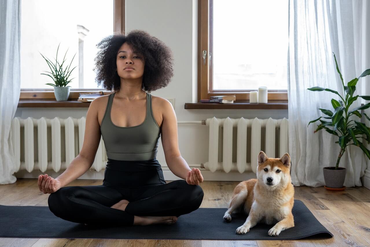 Overrated Fads: 5 Pet Trends That Aren’t Worth the Hype!