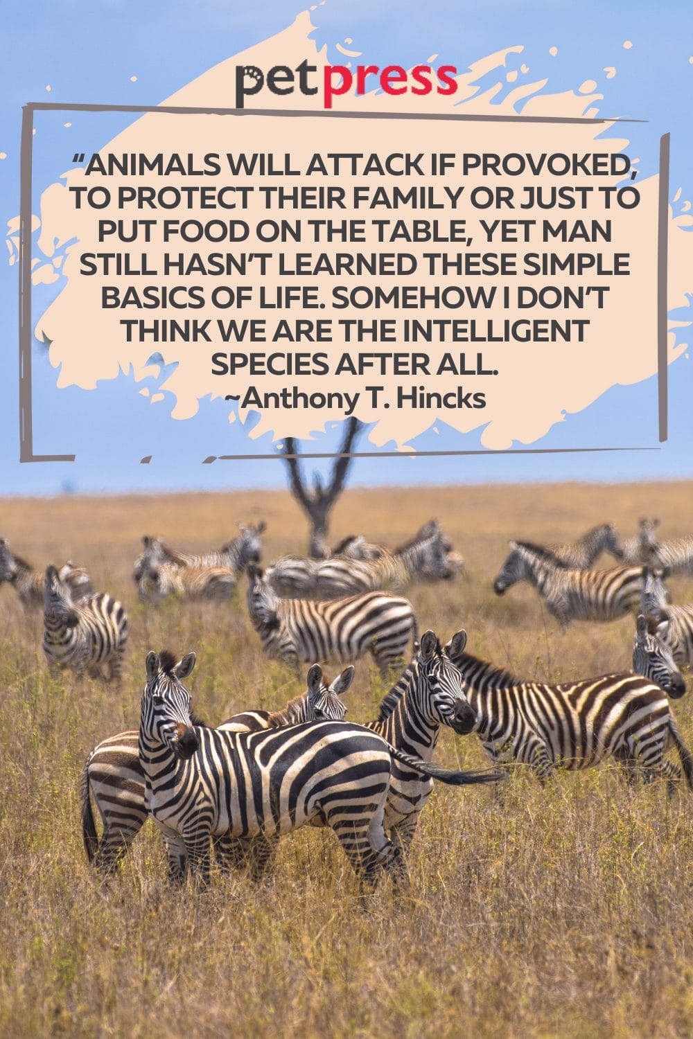 Unleash the Wild: 50+ Best Wild Animals Quotes - PetPress