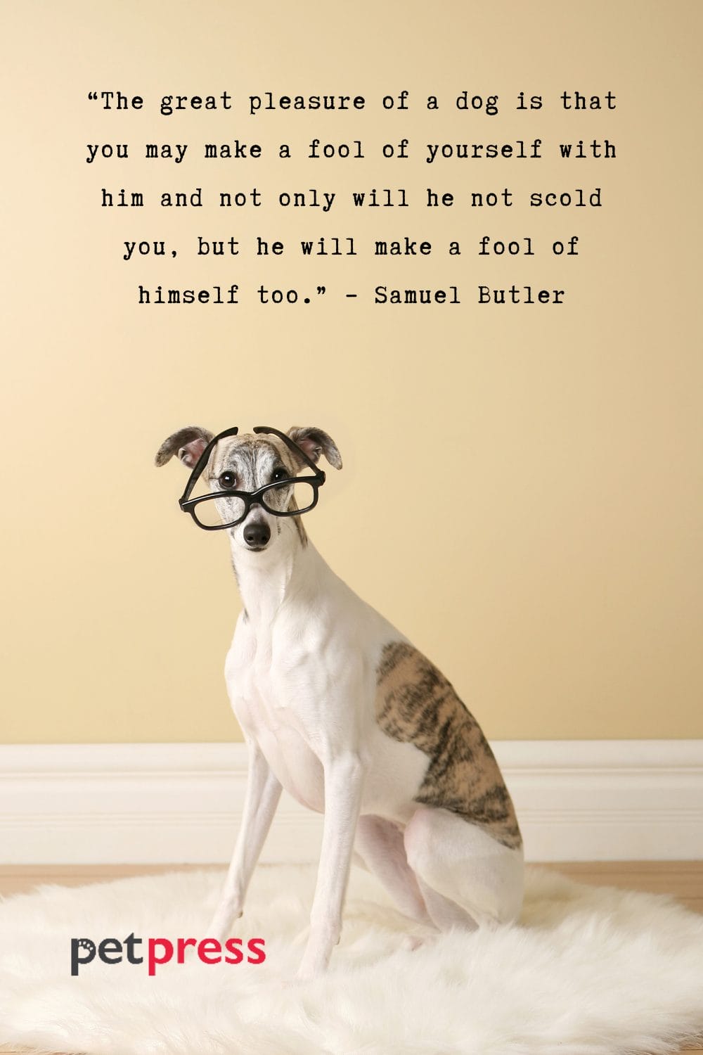 50+ Dog Best Friend Quotes that Prove Unconditional Love