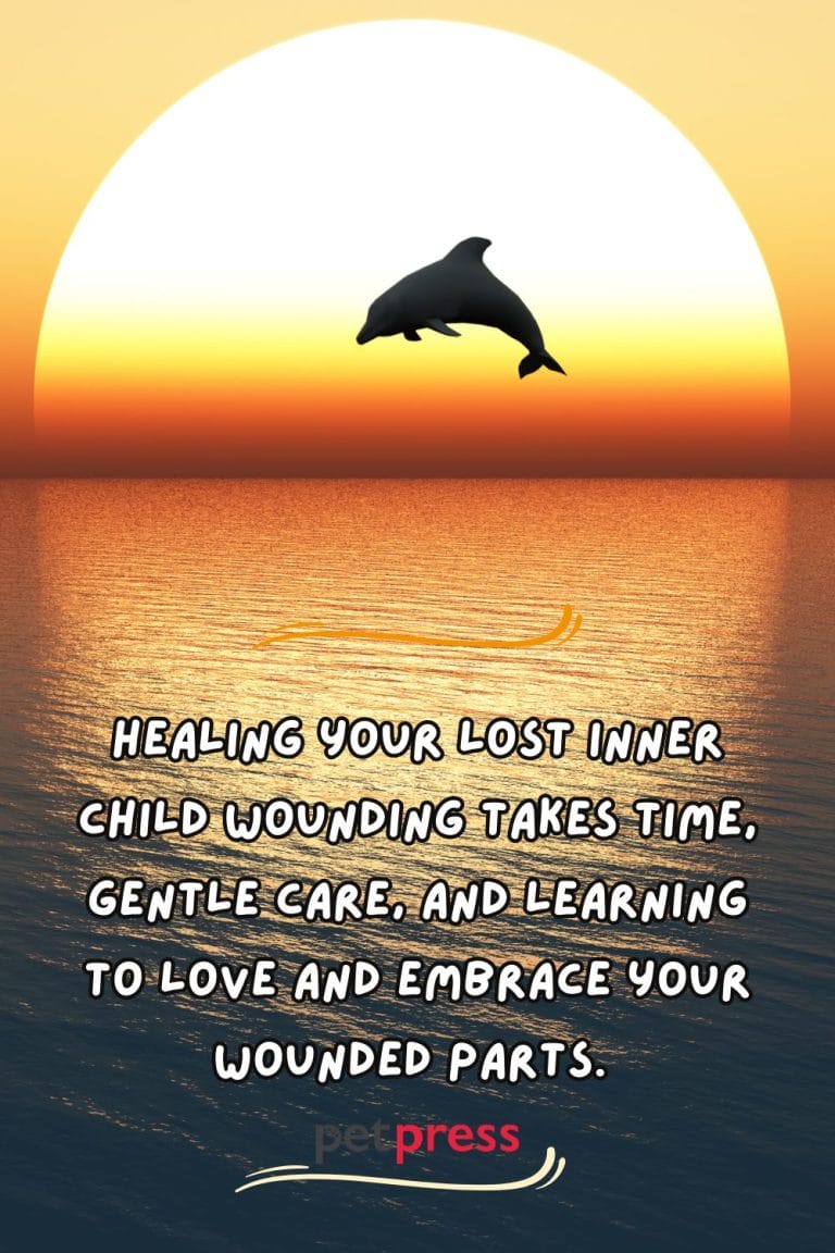 50+ Dolphin Quotes That Bring Happiness and Wisdom - PetPress