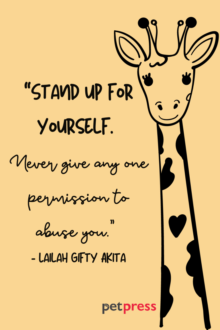 50+ Giraffe Quotes: Embracing Life's Profound Wisdom - PetPress