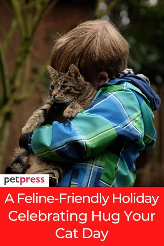 A Feline Friendly Holiday Celebrating Hug Your Cat Day