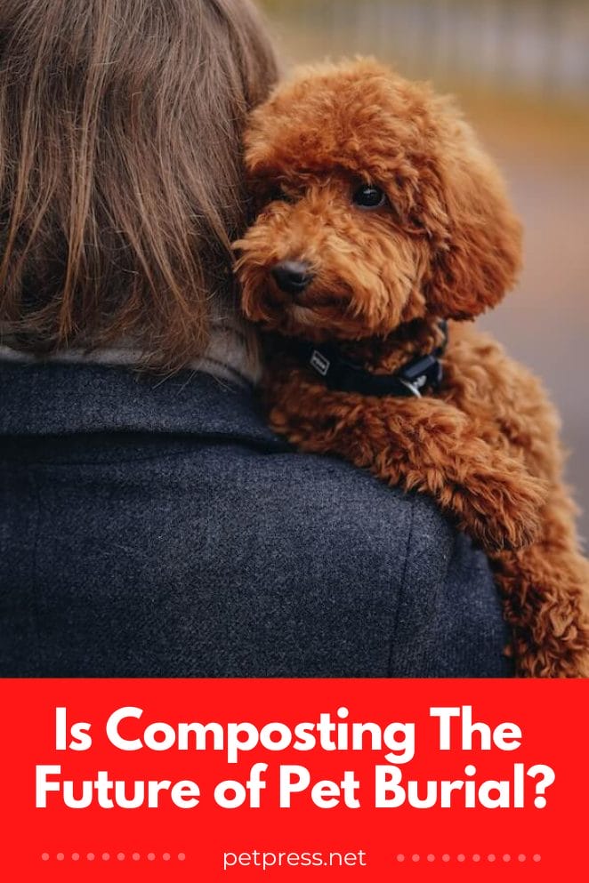 Is Composting the Future of Pet Burial? An Eco-Friendly Alternative