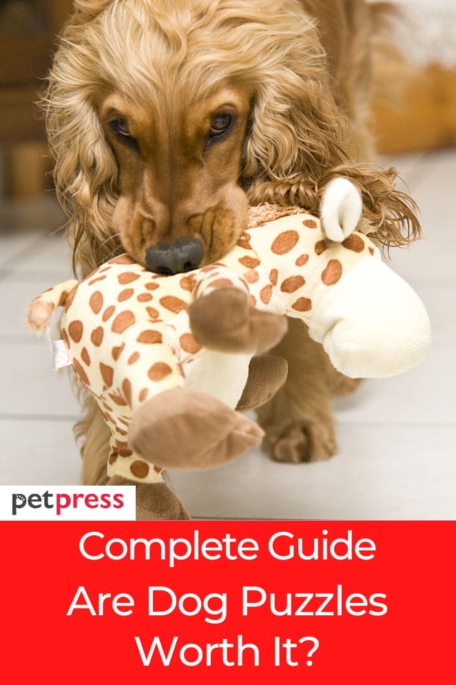 Are Dog Puzzles Worth It? 6 Benefits of Using Dog Puzzles