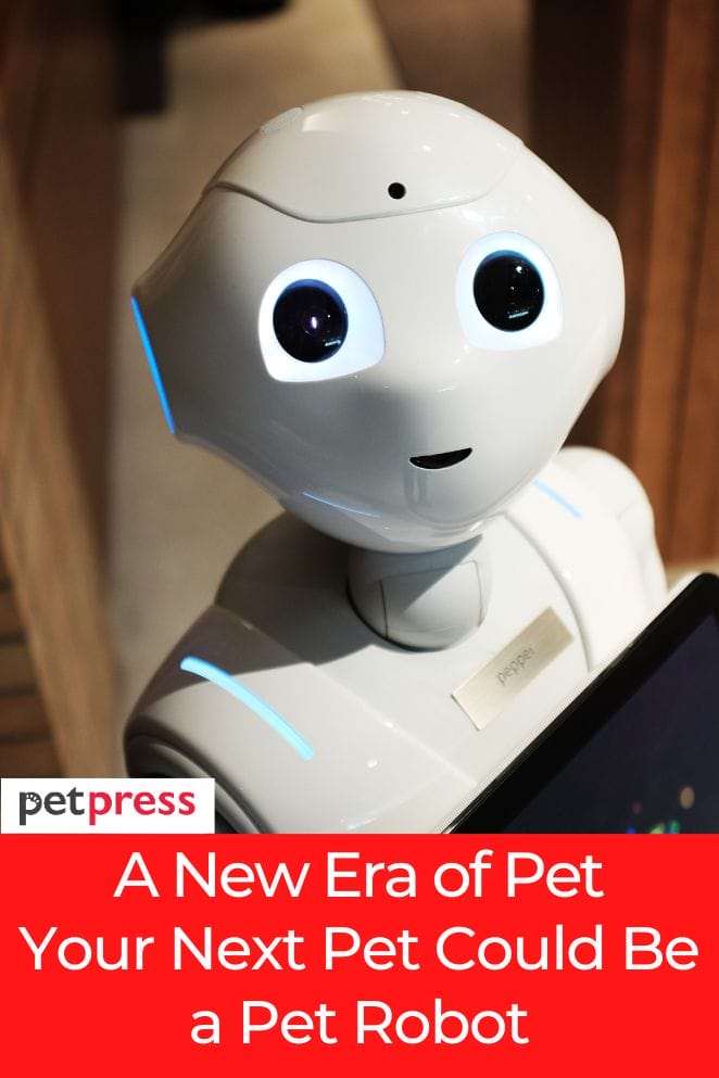 A New Era of Pet: Your Next Pet Could Be a Pet Robot