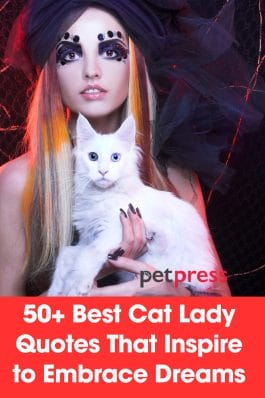 50+ Best Cat Lady Quotes That Inspire to Embrace Dreams