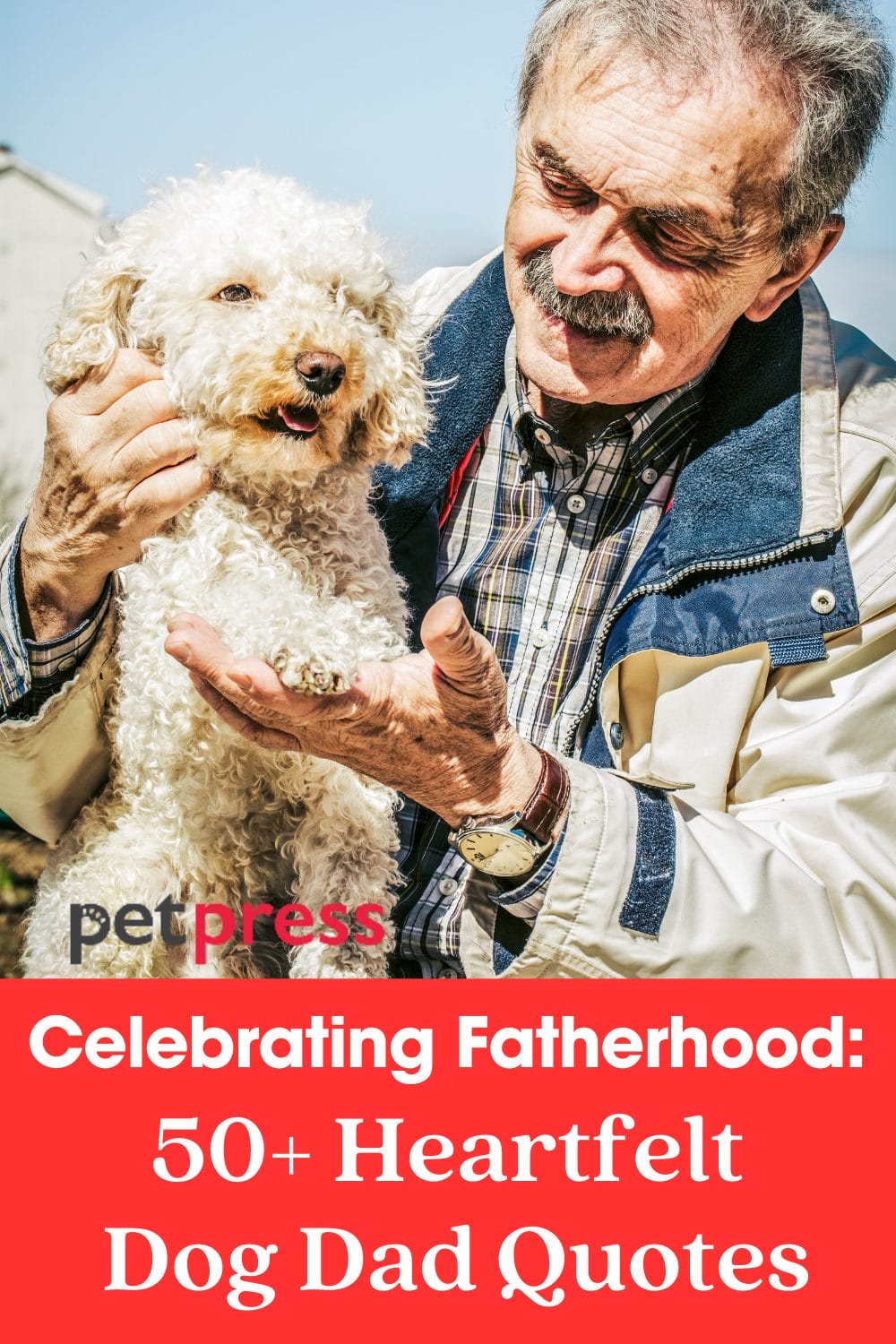 Celebrating Fatherhood: 50+ Heartfelt Dog Dad Quotes - PetPress