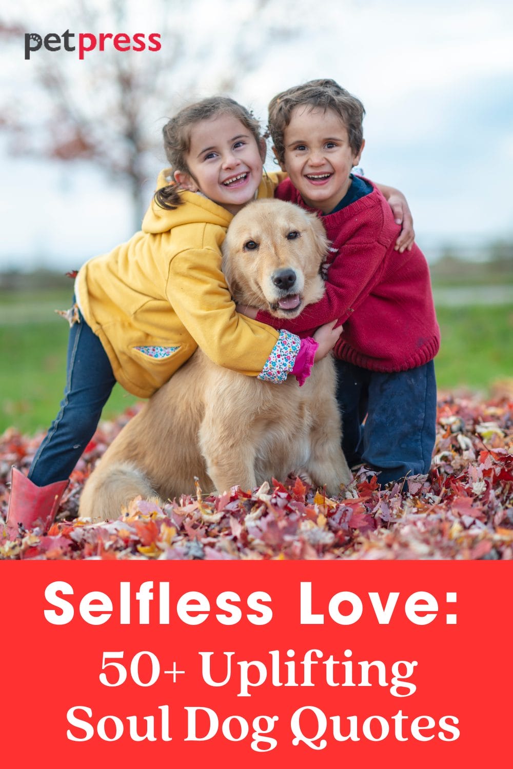 Selfless Love: 50+ Uplifting Soul Dog Quotes - PetPress
