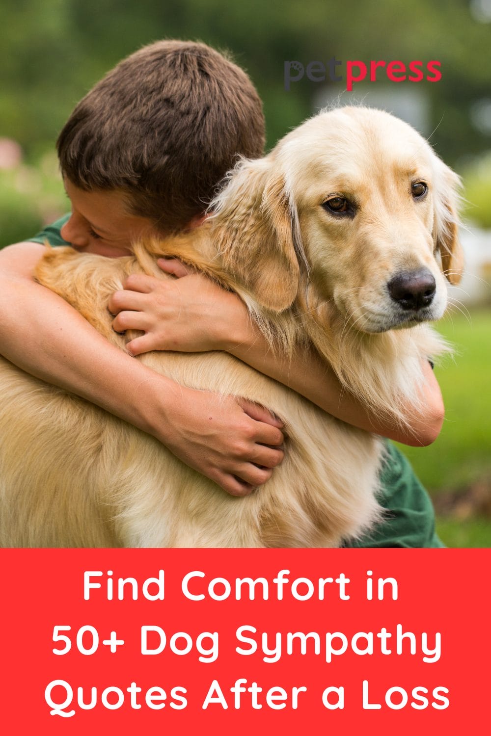 Find Comfort in 50+ Dog Sympathy Quotes After a Loss - PetPress