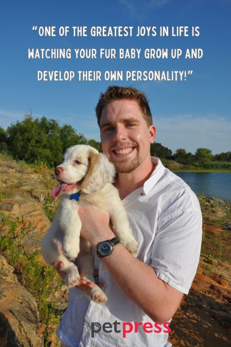 Celebrating Fatherhood: 50+ Heartfelt Dog Dad Quotes - PetPress