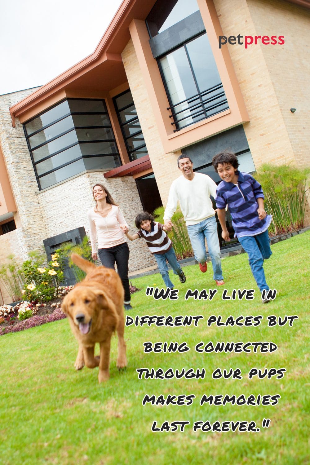 50+ Best Dogs Are Family Quotes on Recognizing Their Loyalty