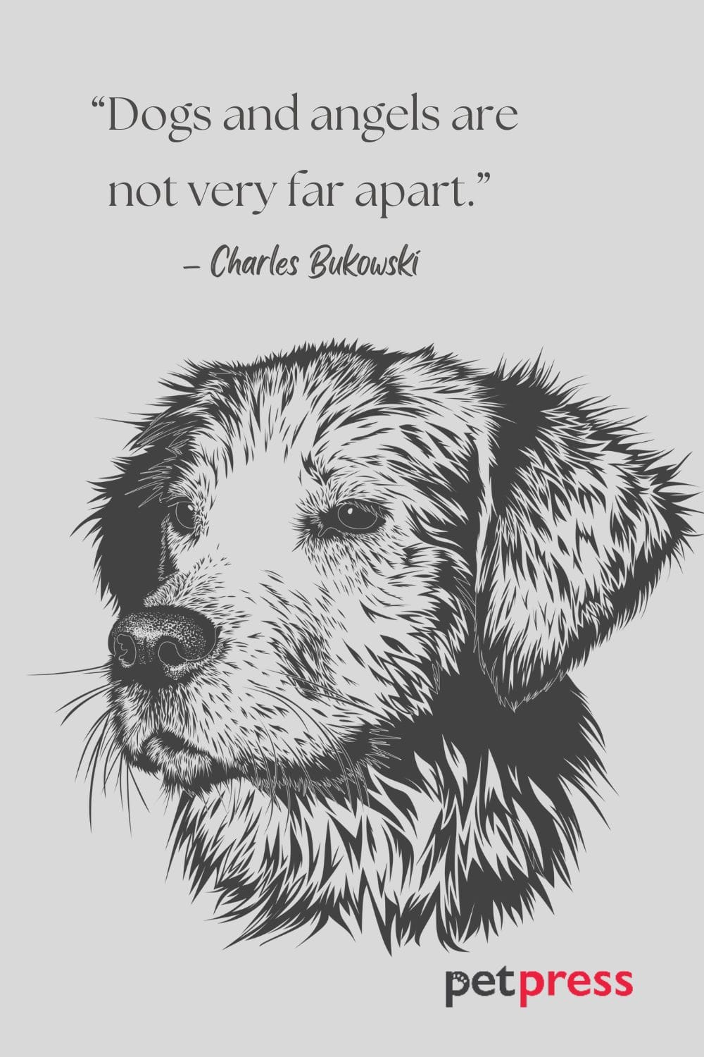 50+ Dog Memorial Quotes to Honor, Sympathy, and Comfort