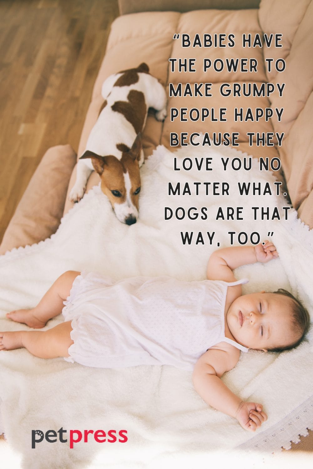 Spark Joy and Happiness: 50+ Heartwarming Dog Therapy Quotes