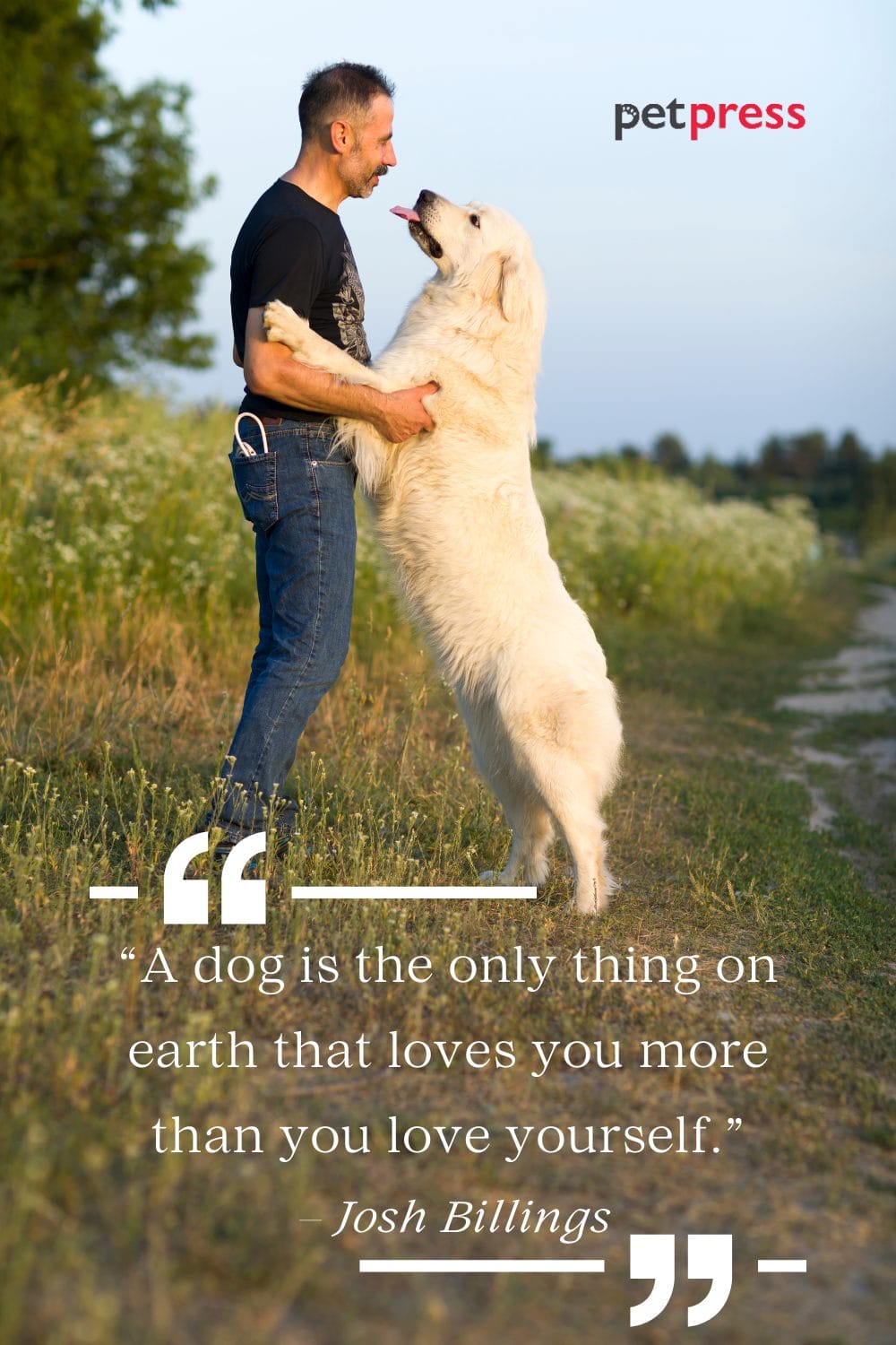 50+ Inspiring Dog Friendship Quotes to Celebrate Your Bond