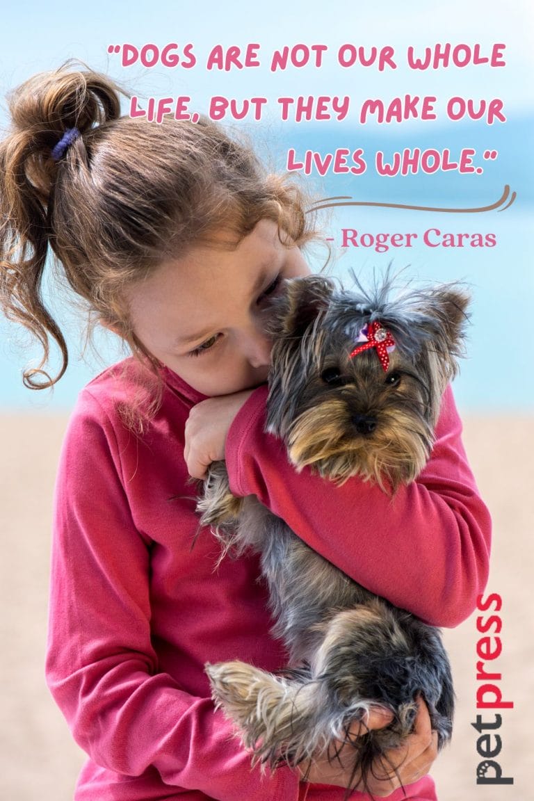Express Affection for Your Pooch – 50+ Best Love Your Dog Quotes