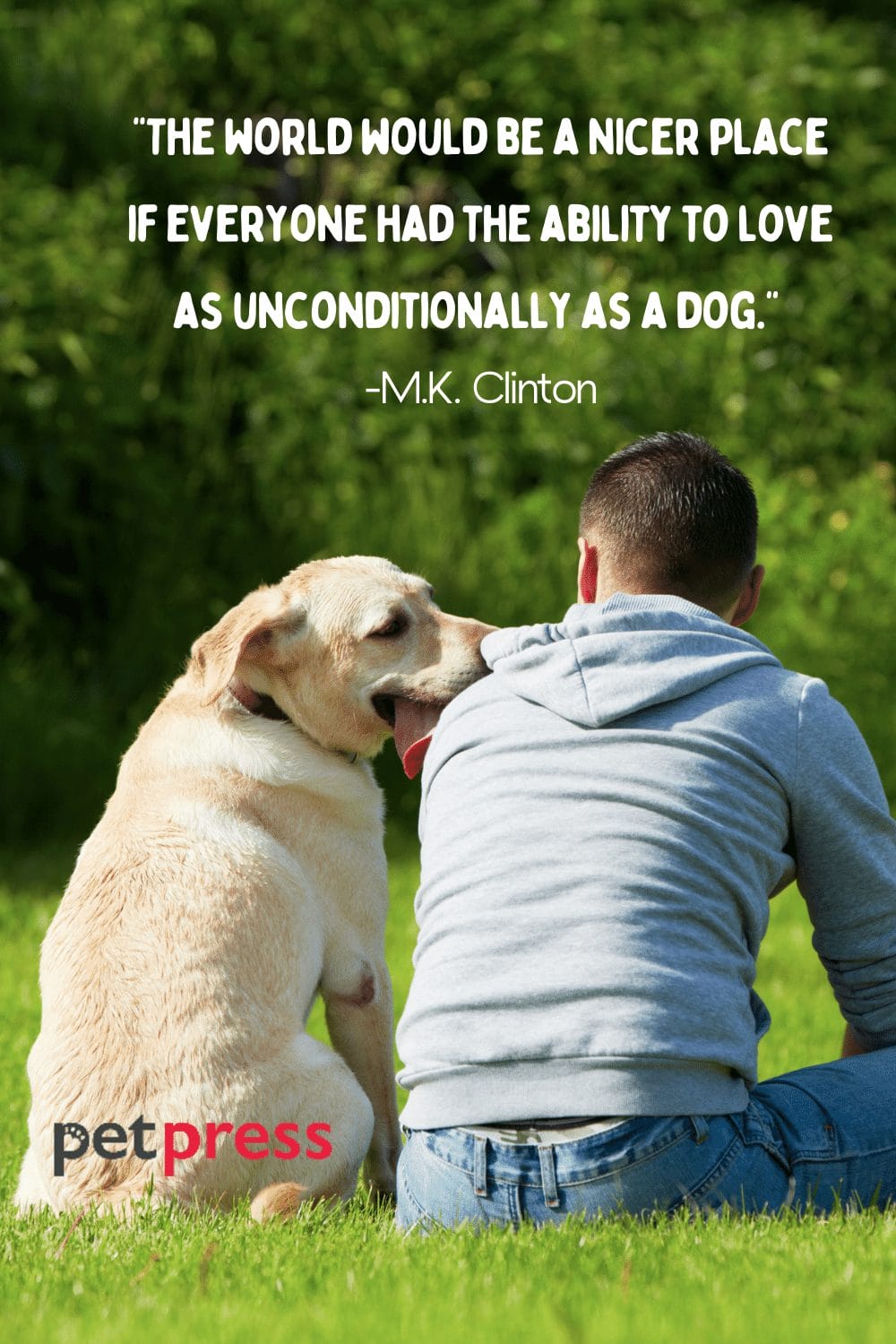 Top 50 Inspiring Dog Emotional Quotes That Speak to the Soul