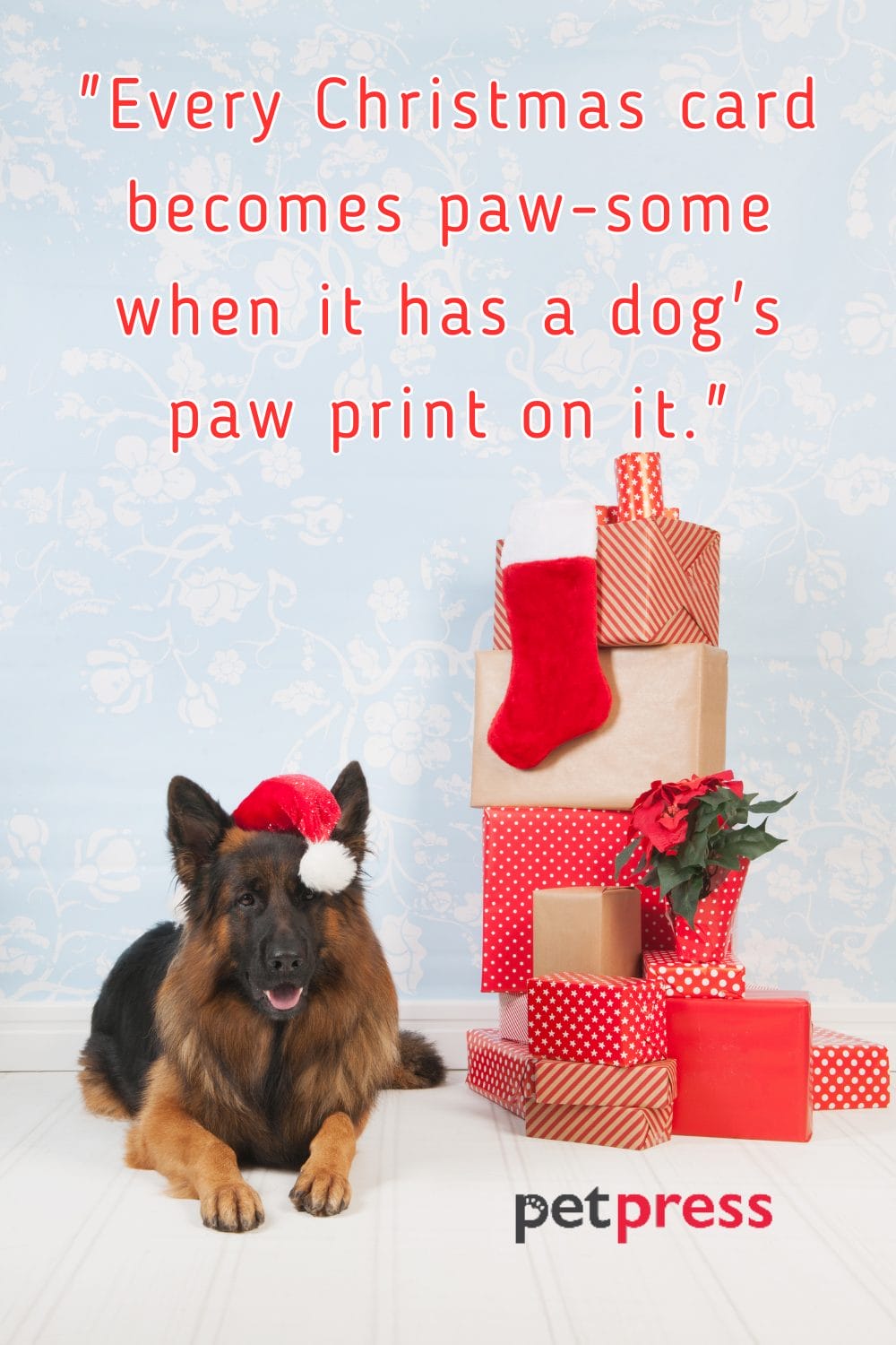 50+ Best Christmas Dog Quotes to Unleash the Yuletide Cheer