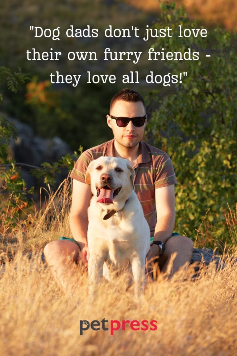 Celebrating Fatherhood: 50+ Heartfelt Dog Dad Quotes - PetPress