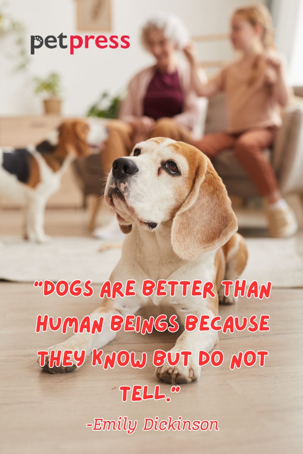 50+ Best Dogs Are Family Quotes on Recognizing Their Loyalty