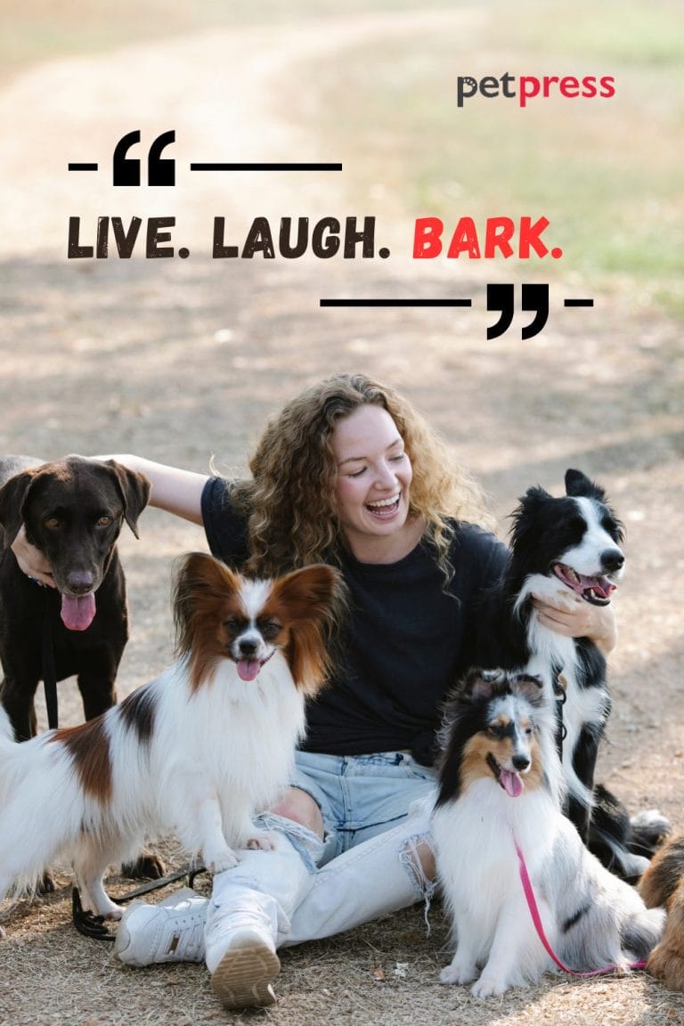 50+ Dog and Human Quotes That Inspire Love and Loyalty