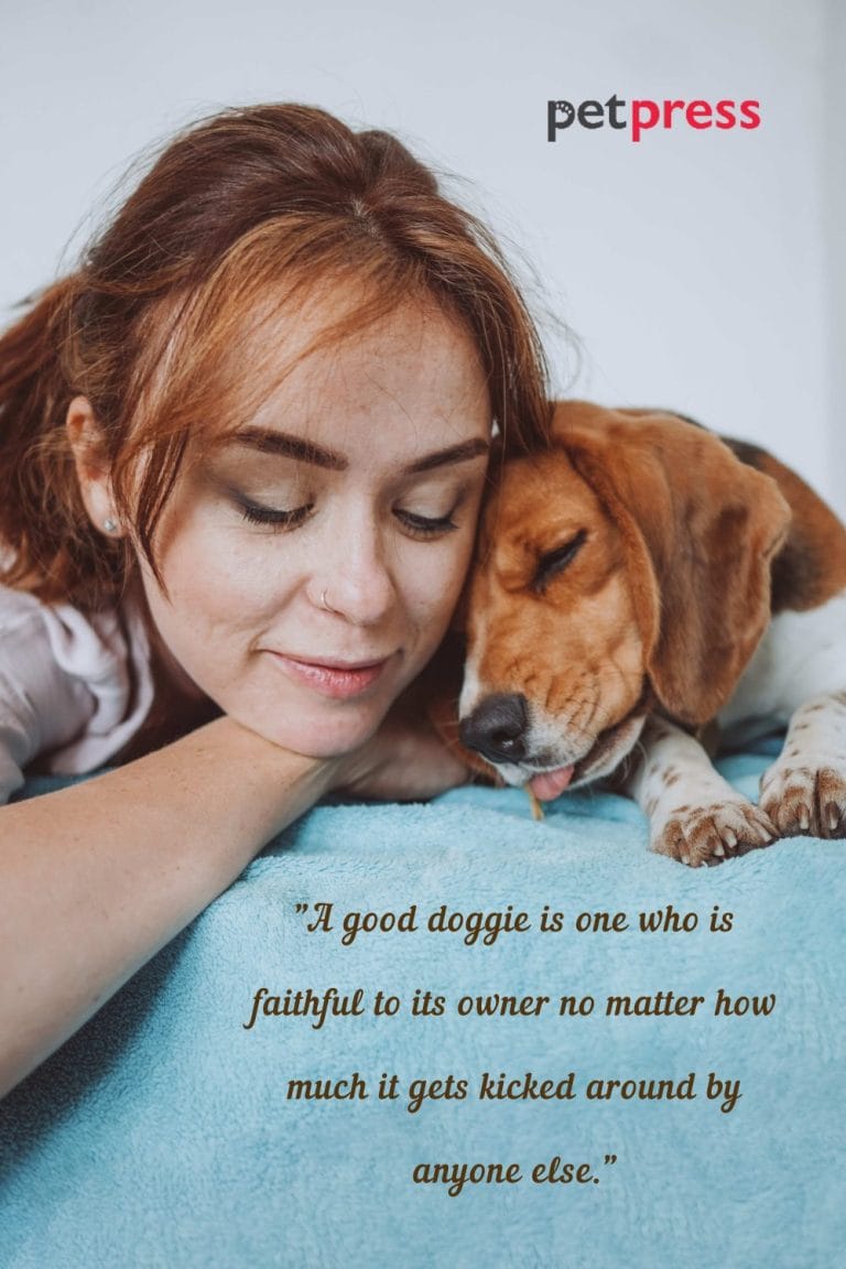 50+ Inspiring Dog Friendship Quotes to Celebrate Your Bond