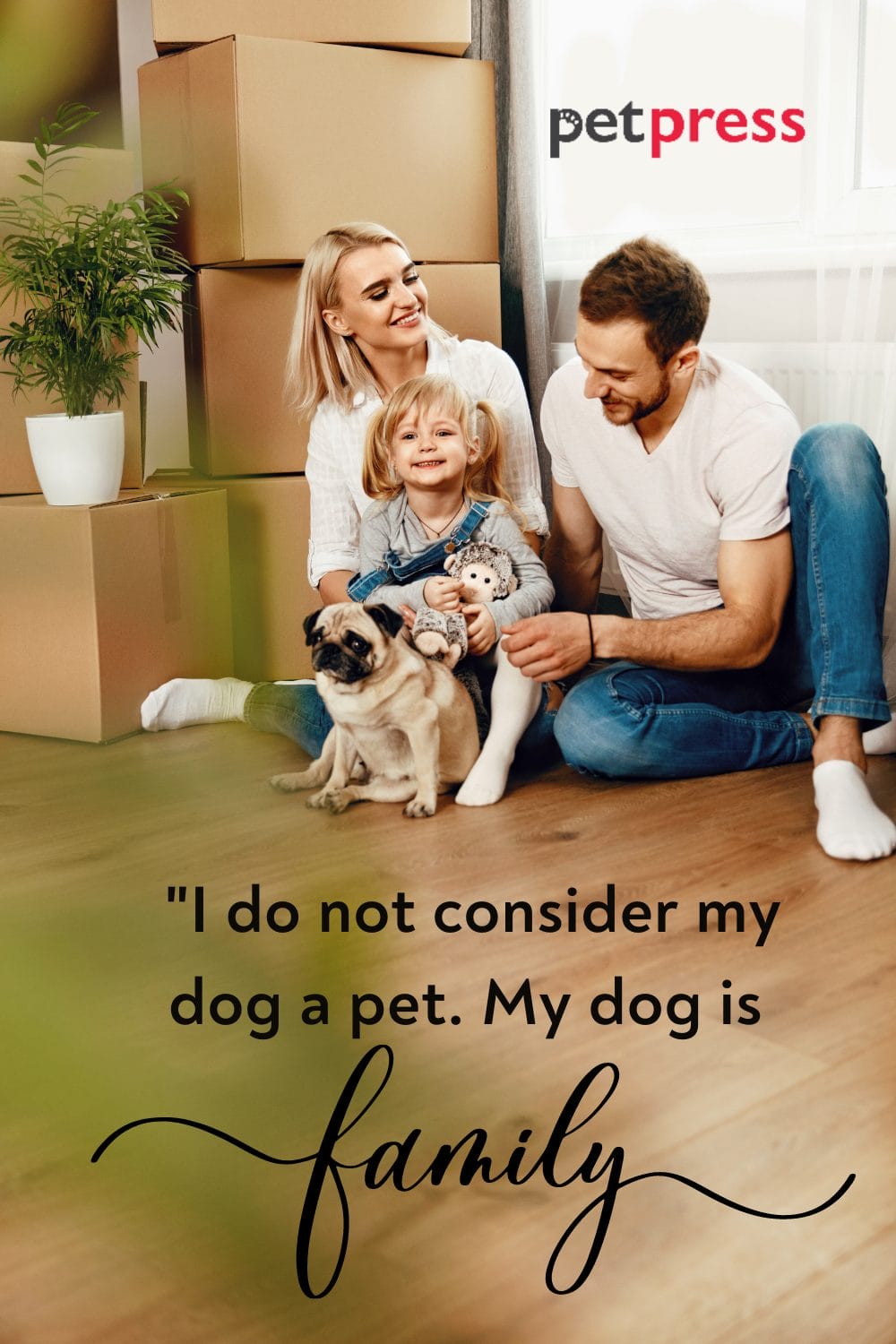 50+ Best Dogs Are Family Quotes on Recognizing Their Loyalty