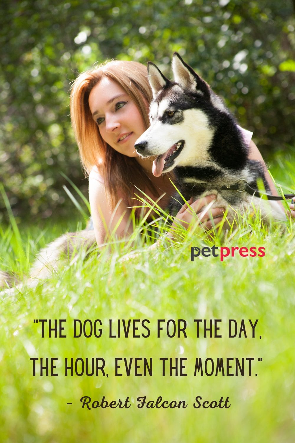50+ Dog and Human Quotes That Inspire Love and Loyalty