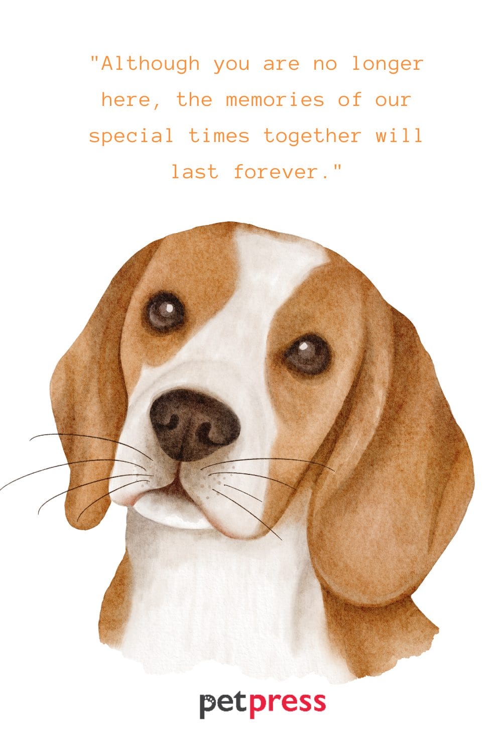 50+ Dog Memorial Quotes to Honor, Sympathy, and Comfort