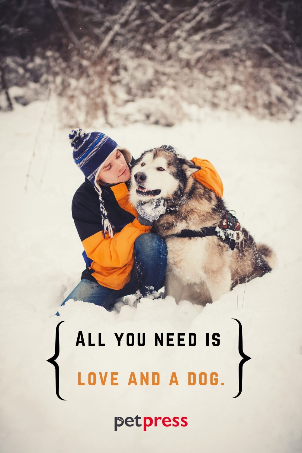 50+ Dog and Human Quotes That Inspire Love and Loyalty