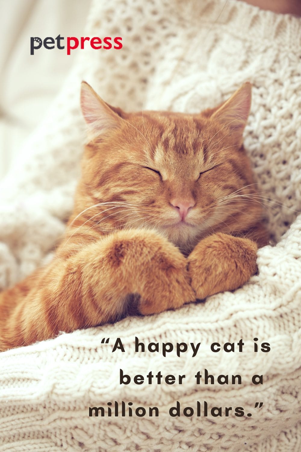 50+ Heartwarming Cat Mom Quotes to Honor Their Devoted Care