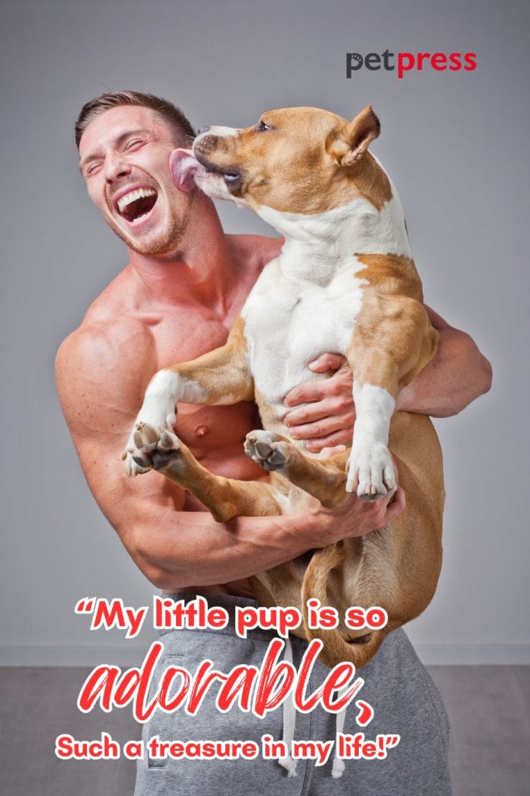 Top 50 Dog Owner Quotes on the Power of Love and Devotion