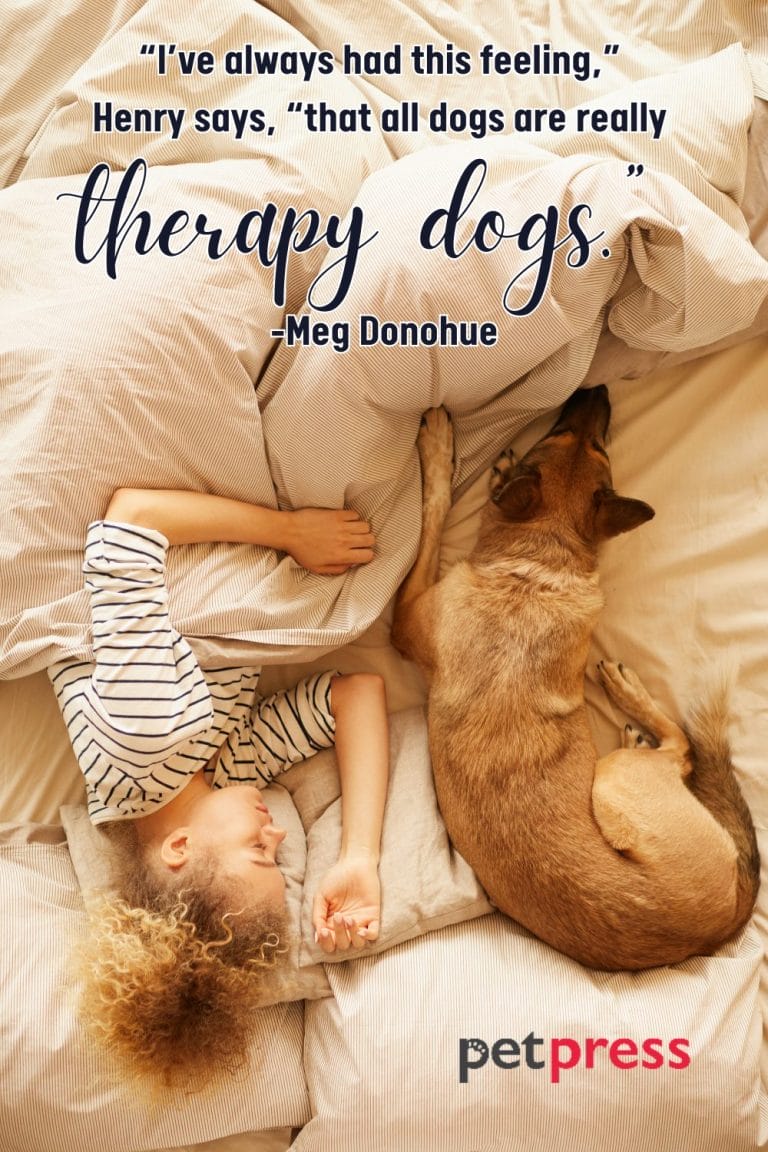 Spark Joy and Happiness: 50+ Heartwarming Dog Therapy Quotes
