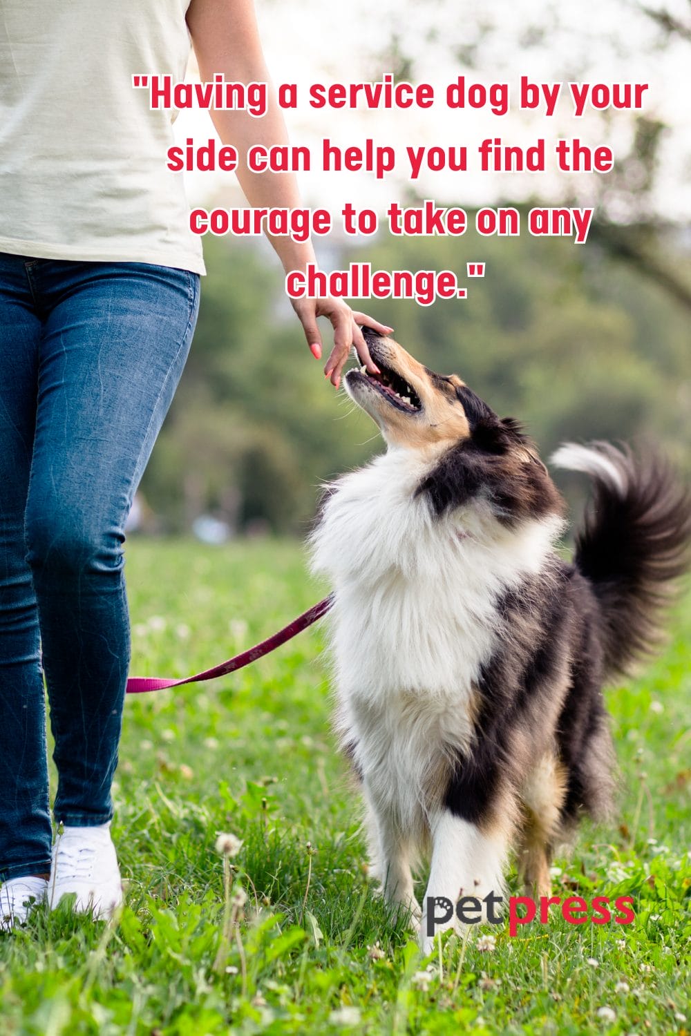 Tap Into Life Wisdom With the Top 50 Best Service Dog Quotes