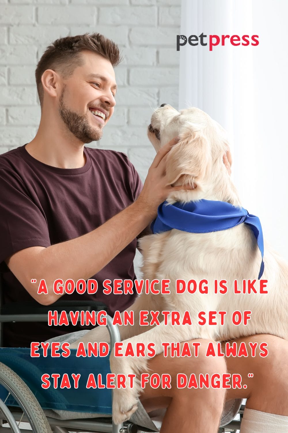 Tap Into Life Wisdom With the Top 50 Best Service Dog Quotes