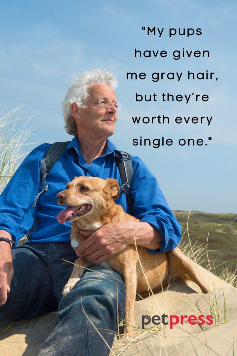 Celebrating Fatherhood: 50+ Heartfelt Dog Dad Quotes - PetPress