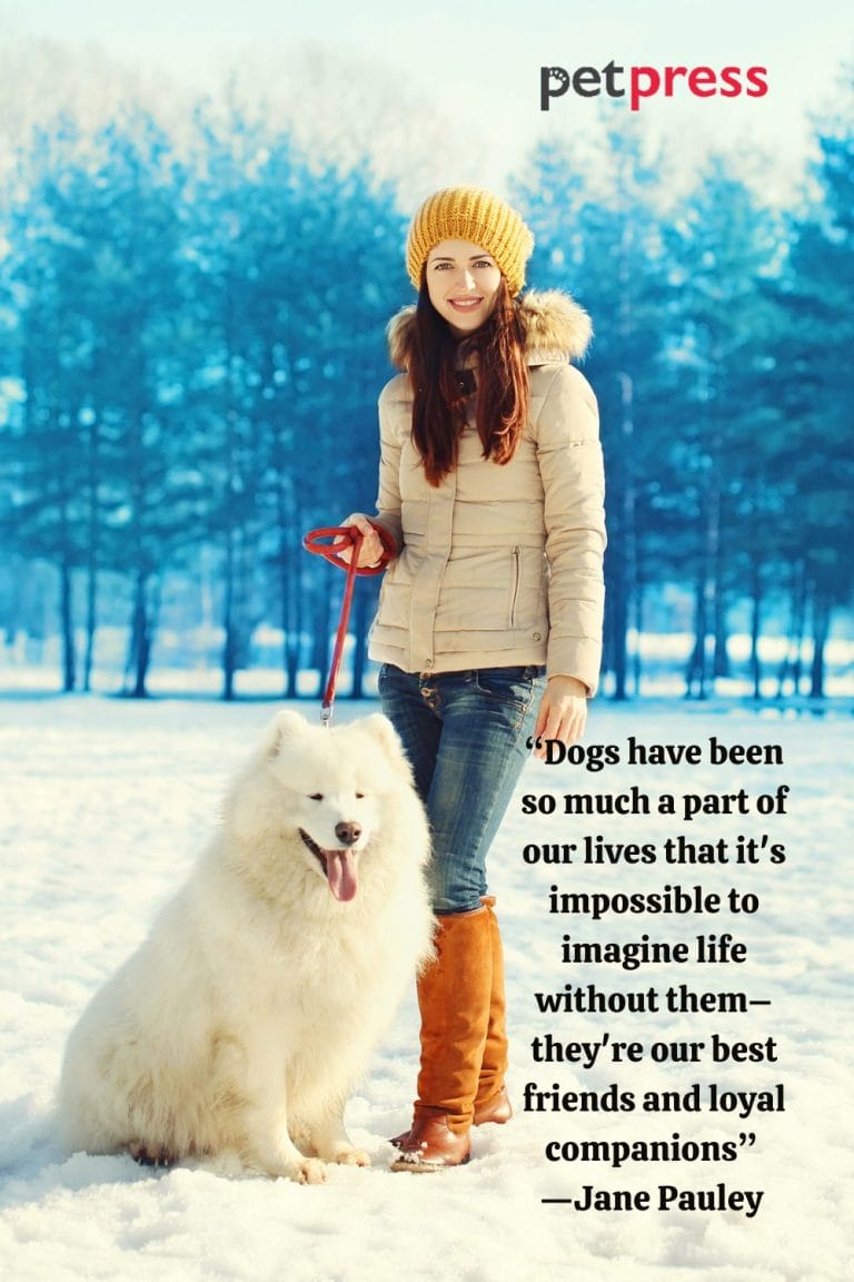 Top 50 Dog Owner Quotes on the Power of Love and Devotion