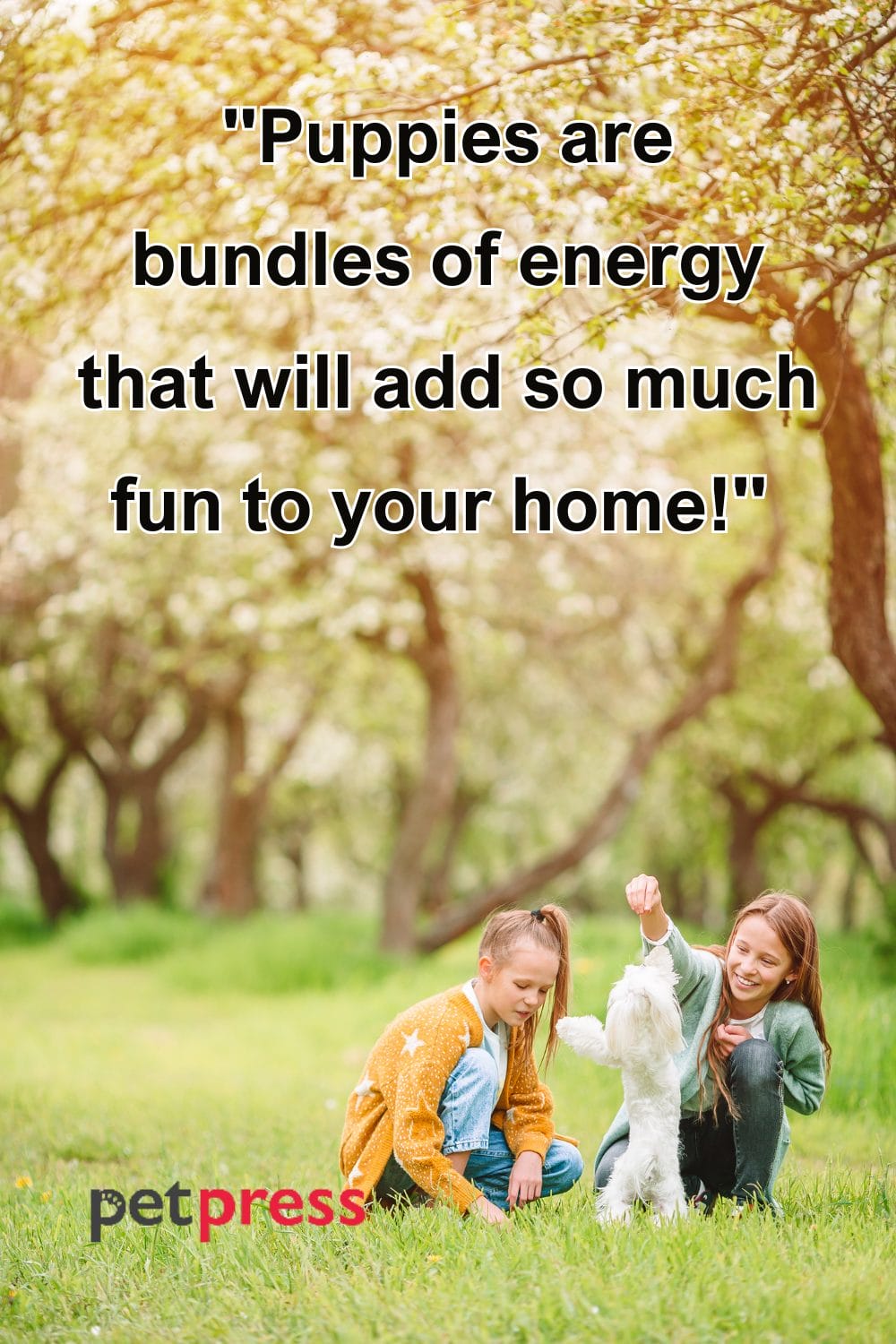 50+ Best and Most Adorable New Puppy Quotes - PetPress