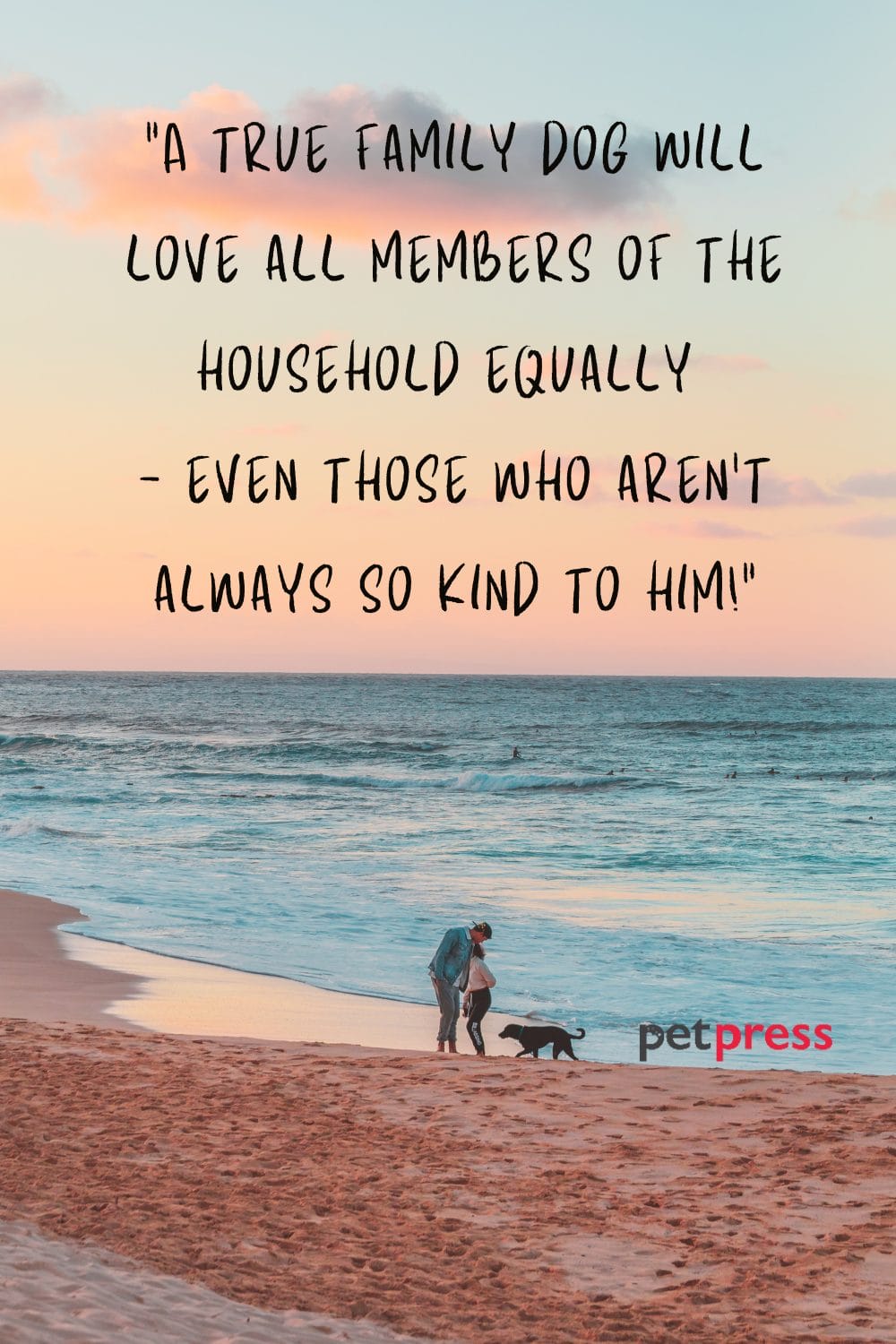 50+ Best Dogs Are Family Quotes on Recognizing Their Loyalty