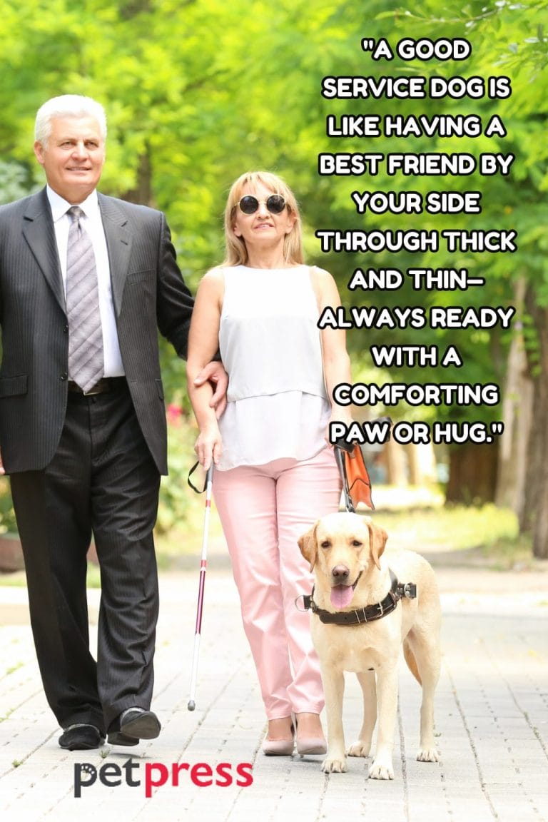 Tap Into Life Wisdom With the Top 50 Best Service Dog Quotes