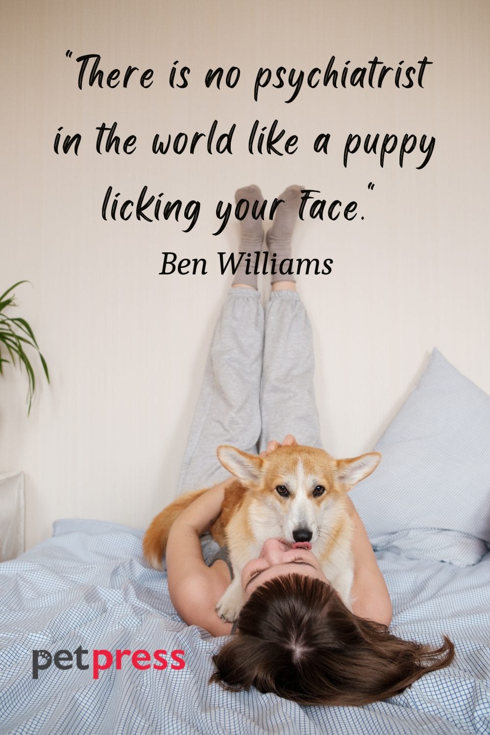 Unearthing Wisdom From These Top 50 Best Dog Angel Quotes