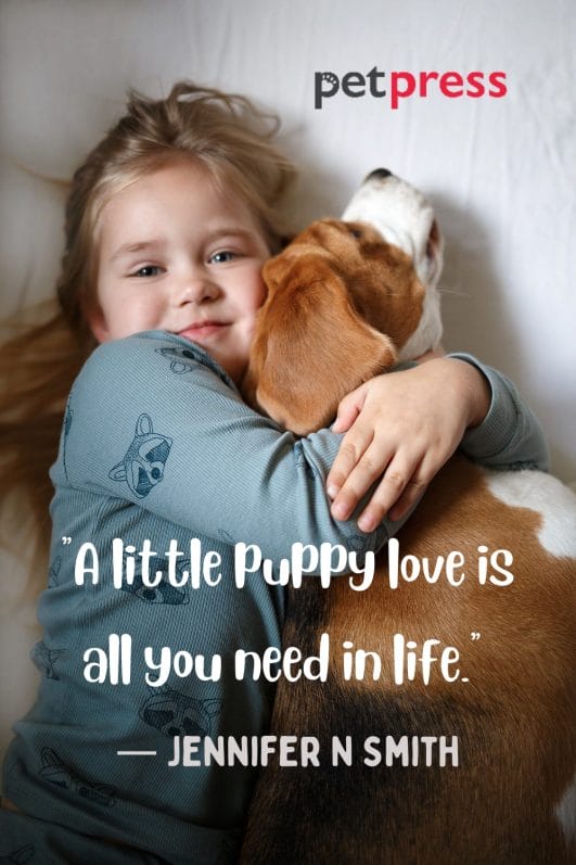 50+ Best and Most Adorable New Puppy Quotes - PetPress
